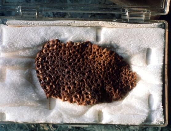 1961 Joe Simonton and the Alien Pancakes